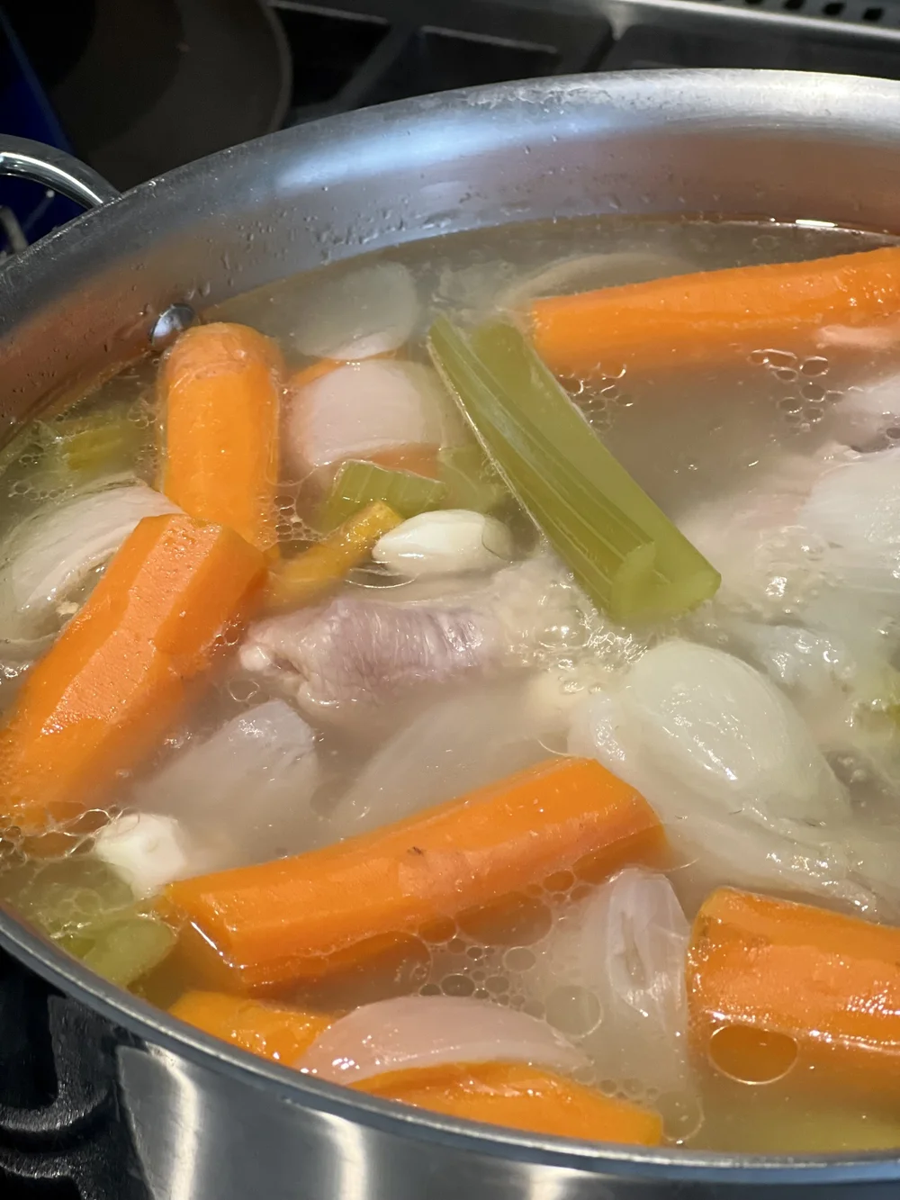 Homemade Turkey Stock Recipe - Delicious And Inexpensive — Molé Mama