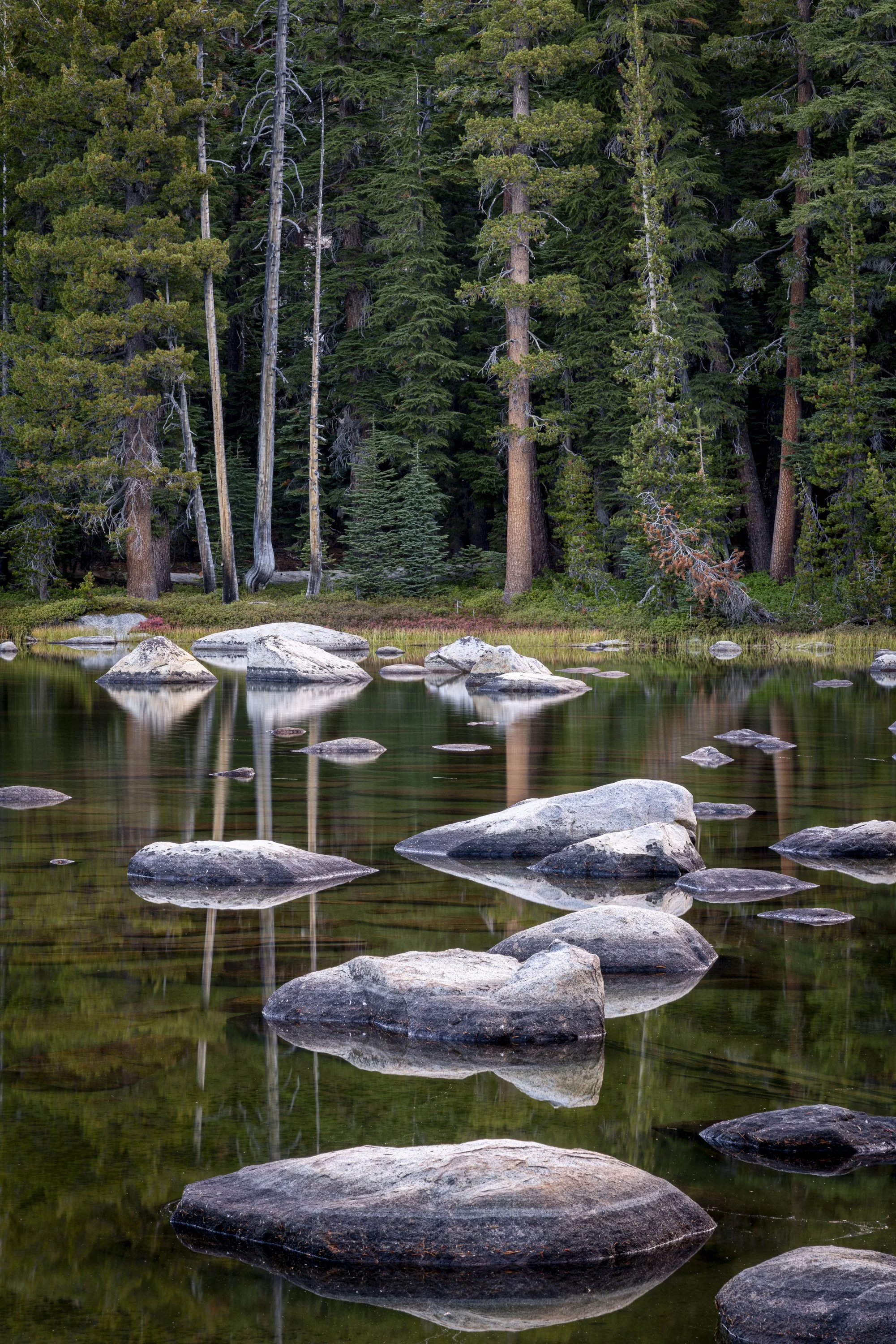 DOUG RUNDLE PHOTOGRAPHY