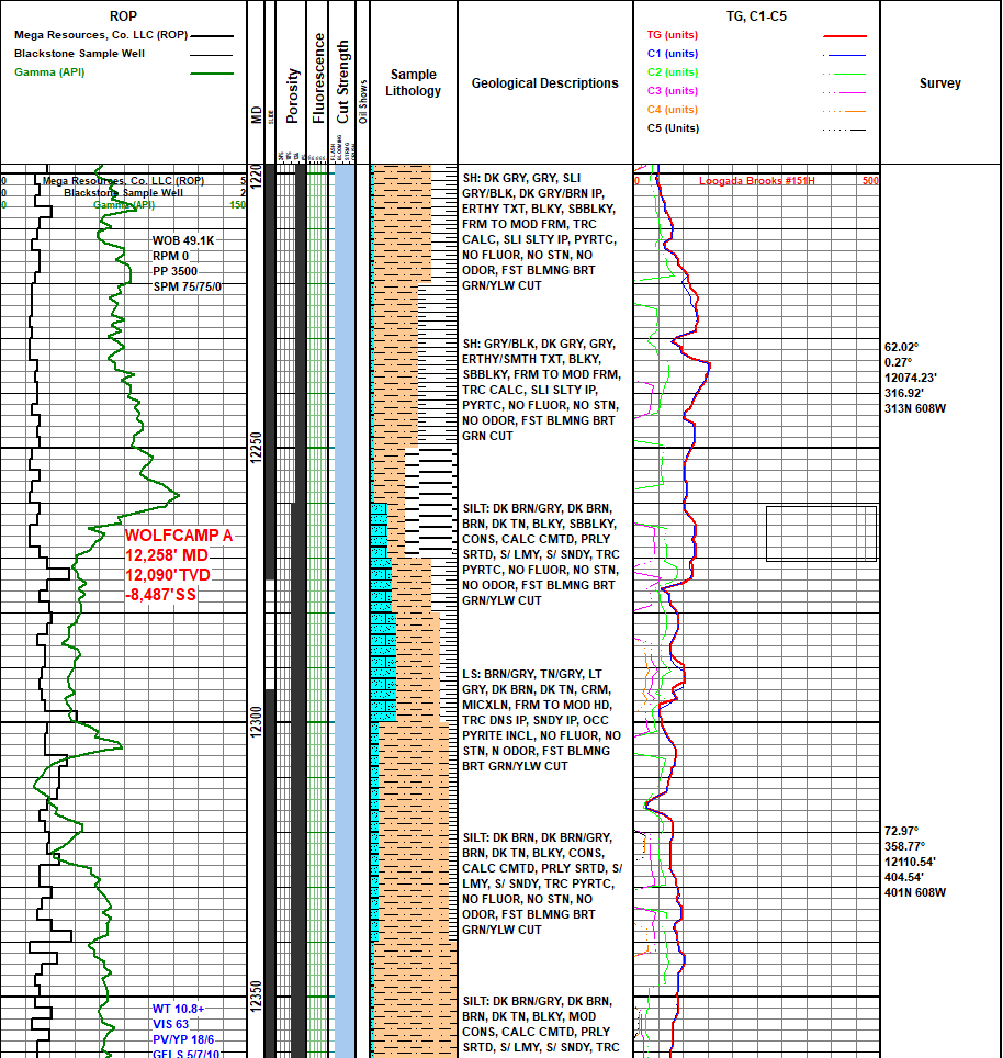 BLACKSTONE ANALYTICS —Permian and Delaware Basin Mudlogging