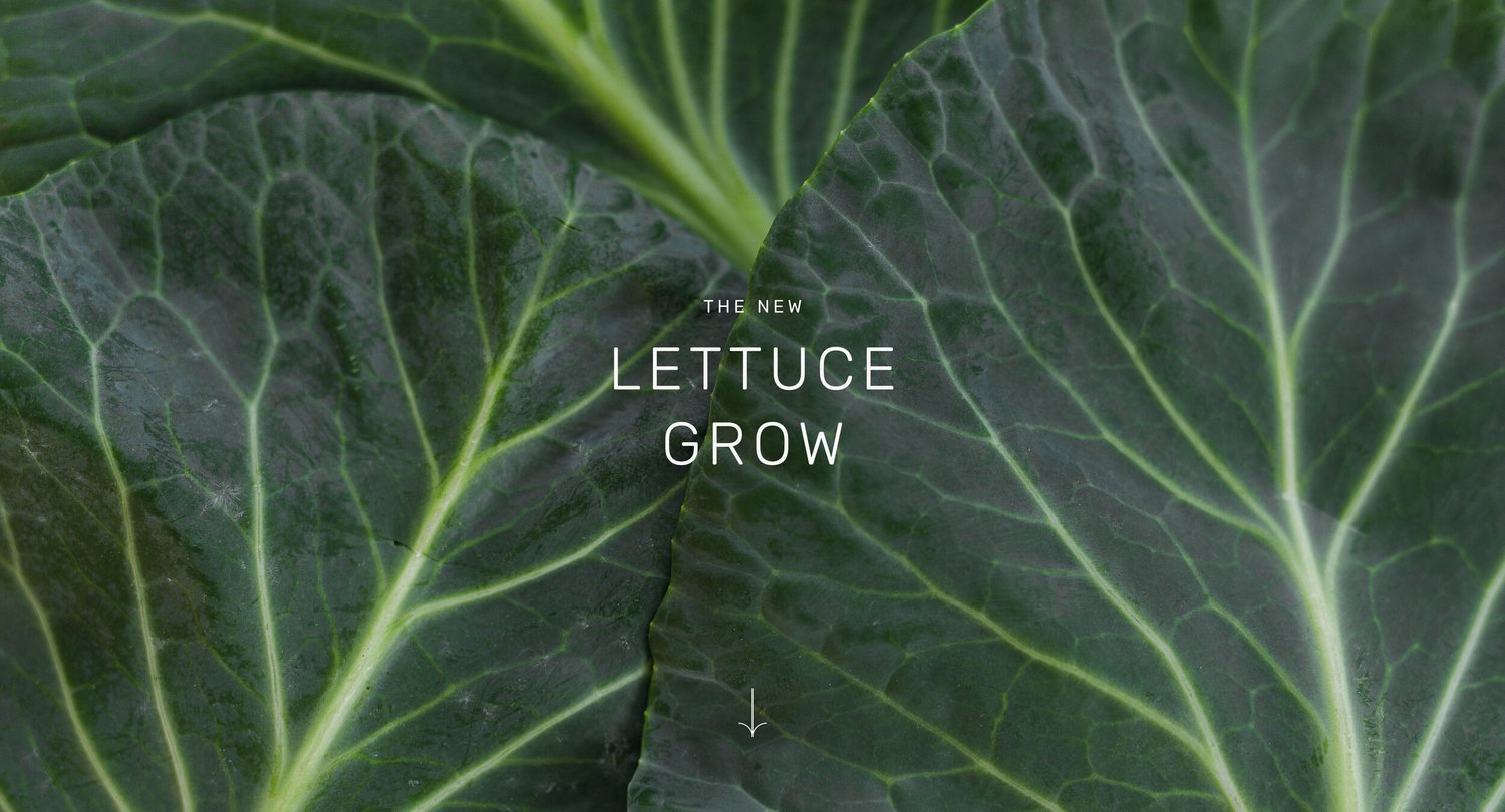 Lettuce Grow Branding — XavierCo