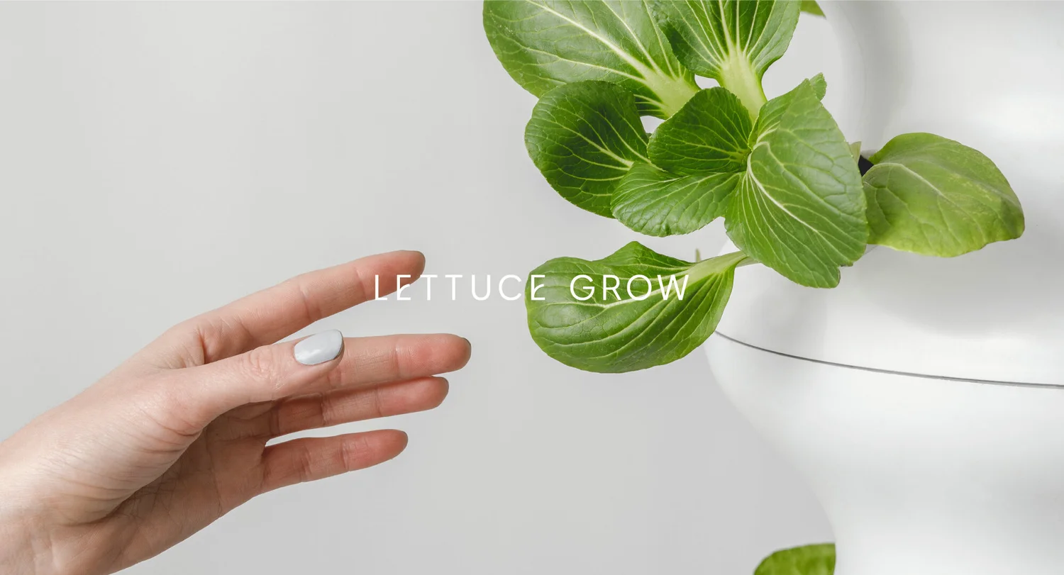 Lettuce Grow Branding — XavierCo