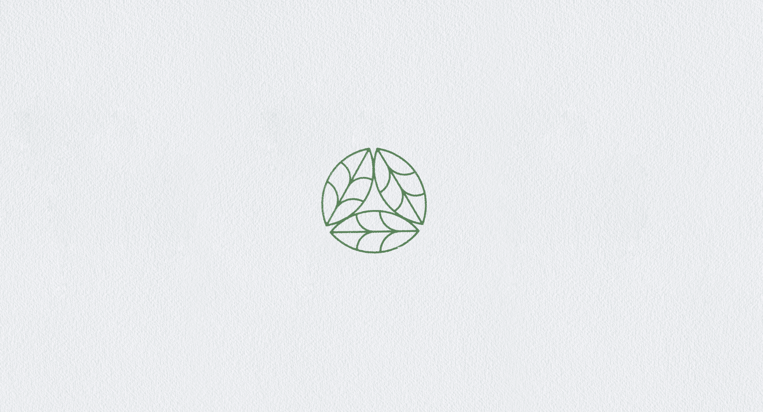 Lettuce Grow Branding — XavierCo