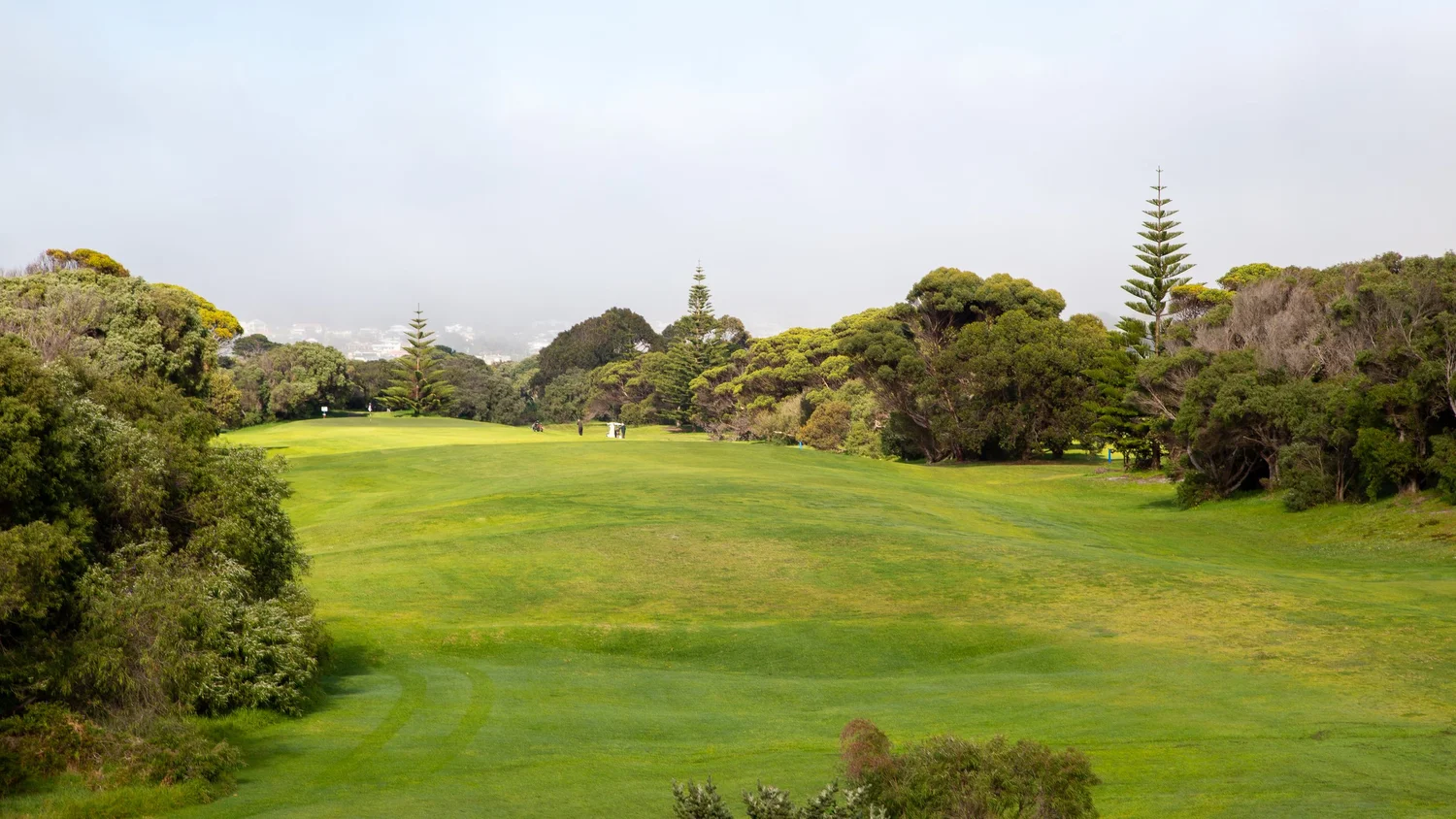 Course Tour — Albany Golf Club