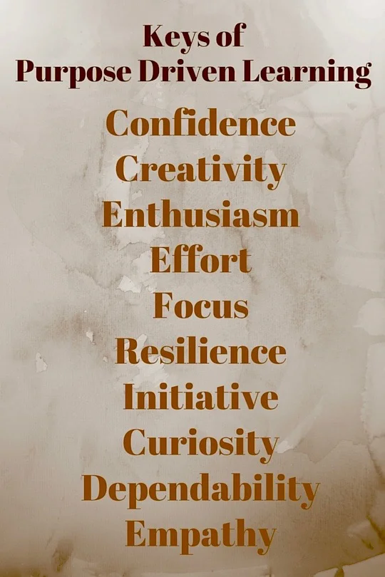 Follow Your Curiosity — Adam Moreno