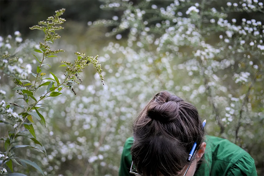 Previous Shows — Jala Studio