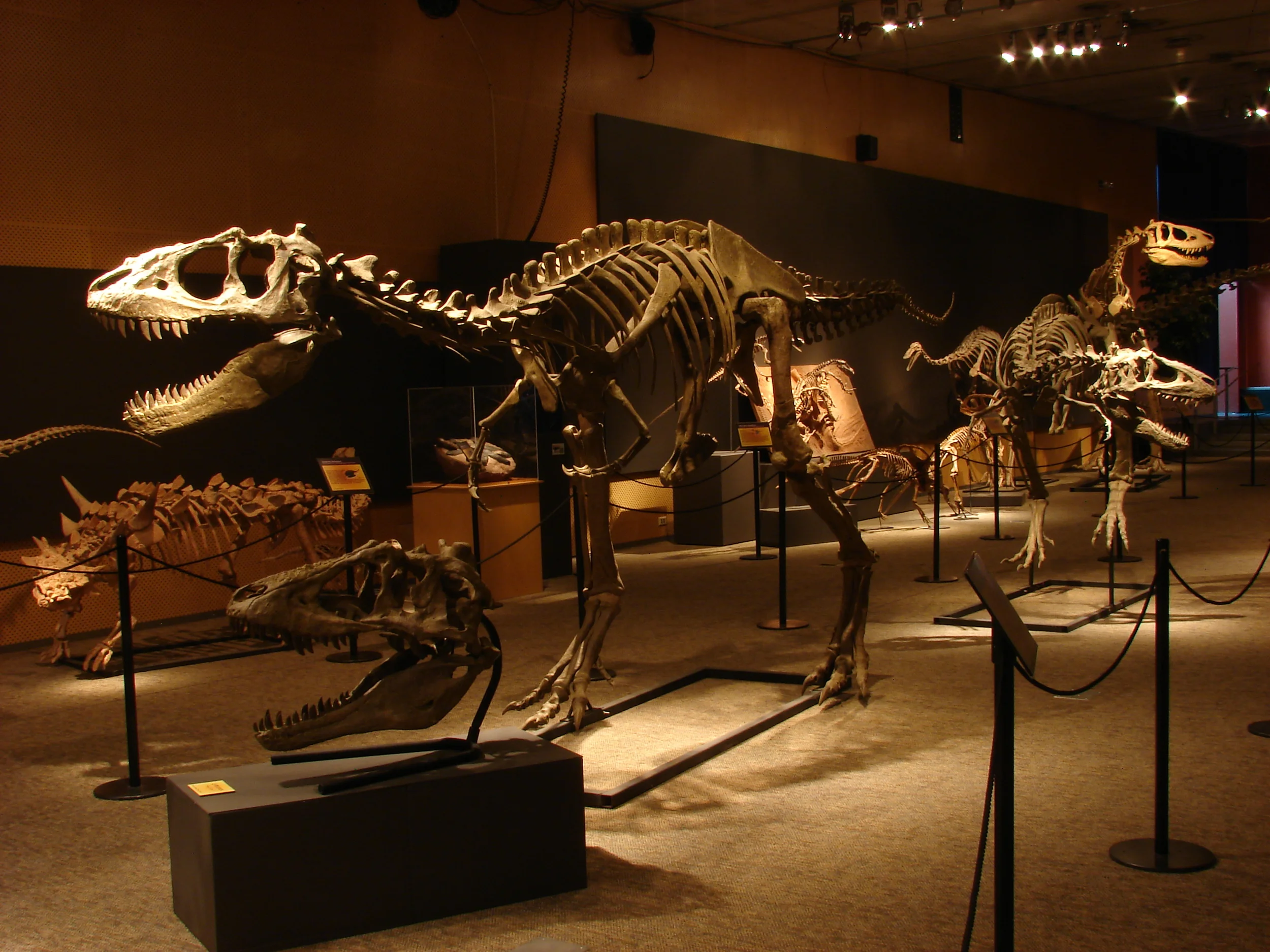 Laramidia Project Dinosaurs — The Collective Collection