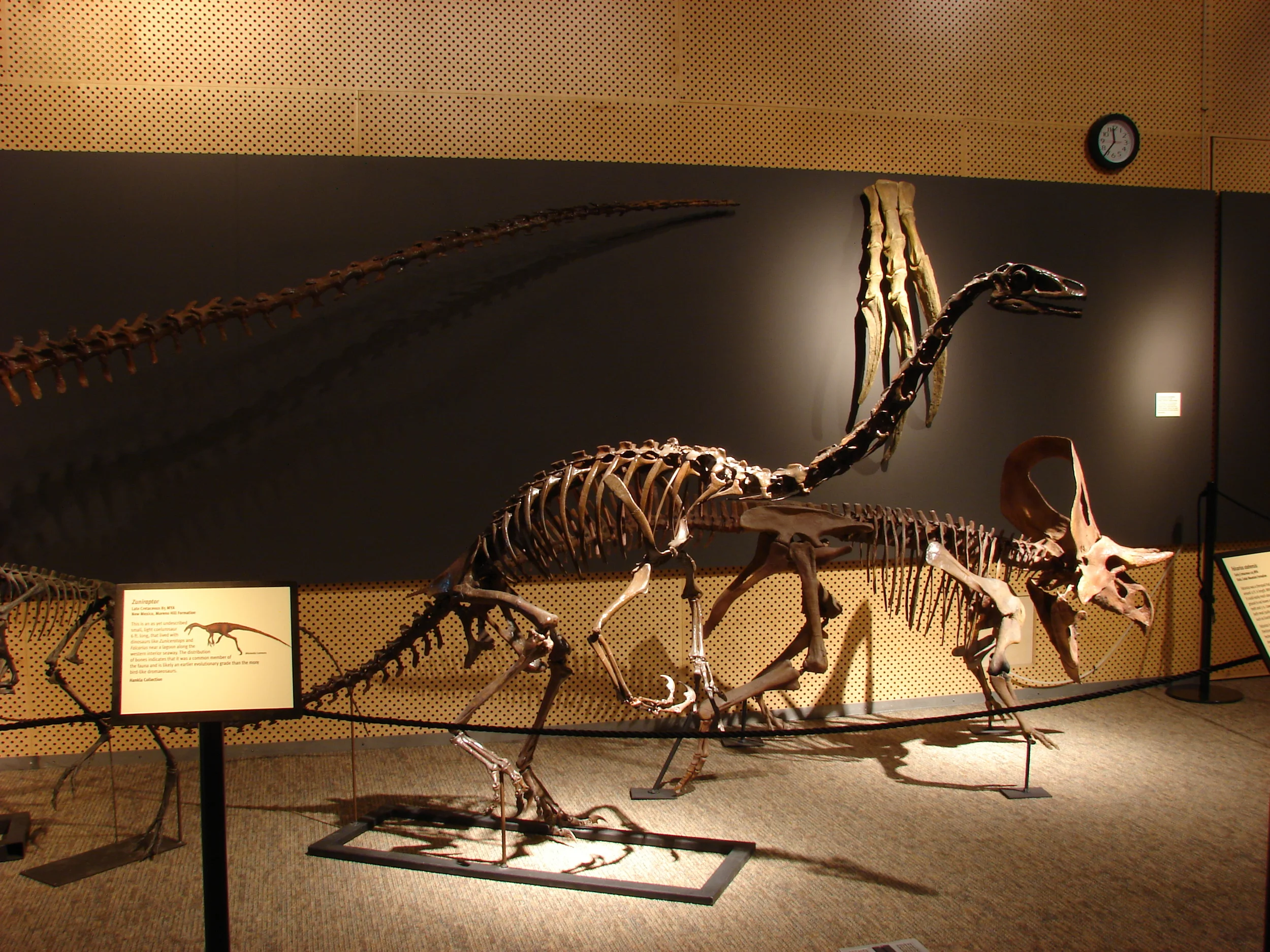 Cedar Mountain — The Collective Collection