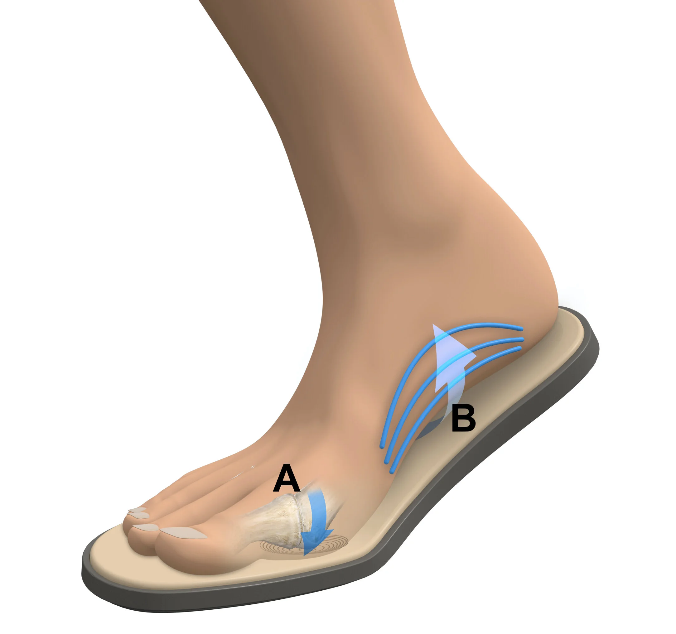 Improve Footwear Comfort with Insolia® Technologies