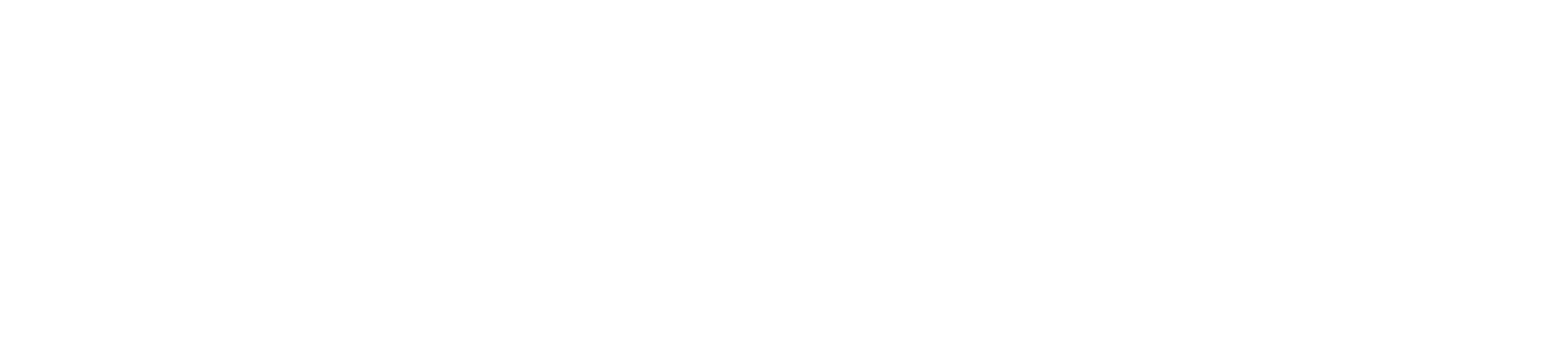 Seattle Festival Orchestra