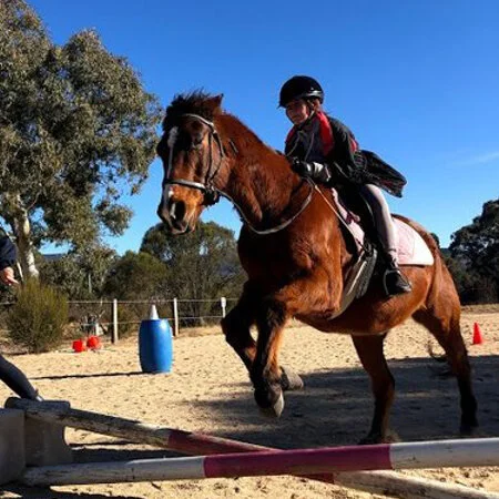 Riding Lessons — The Saddle Camp