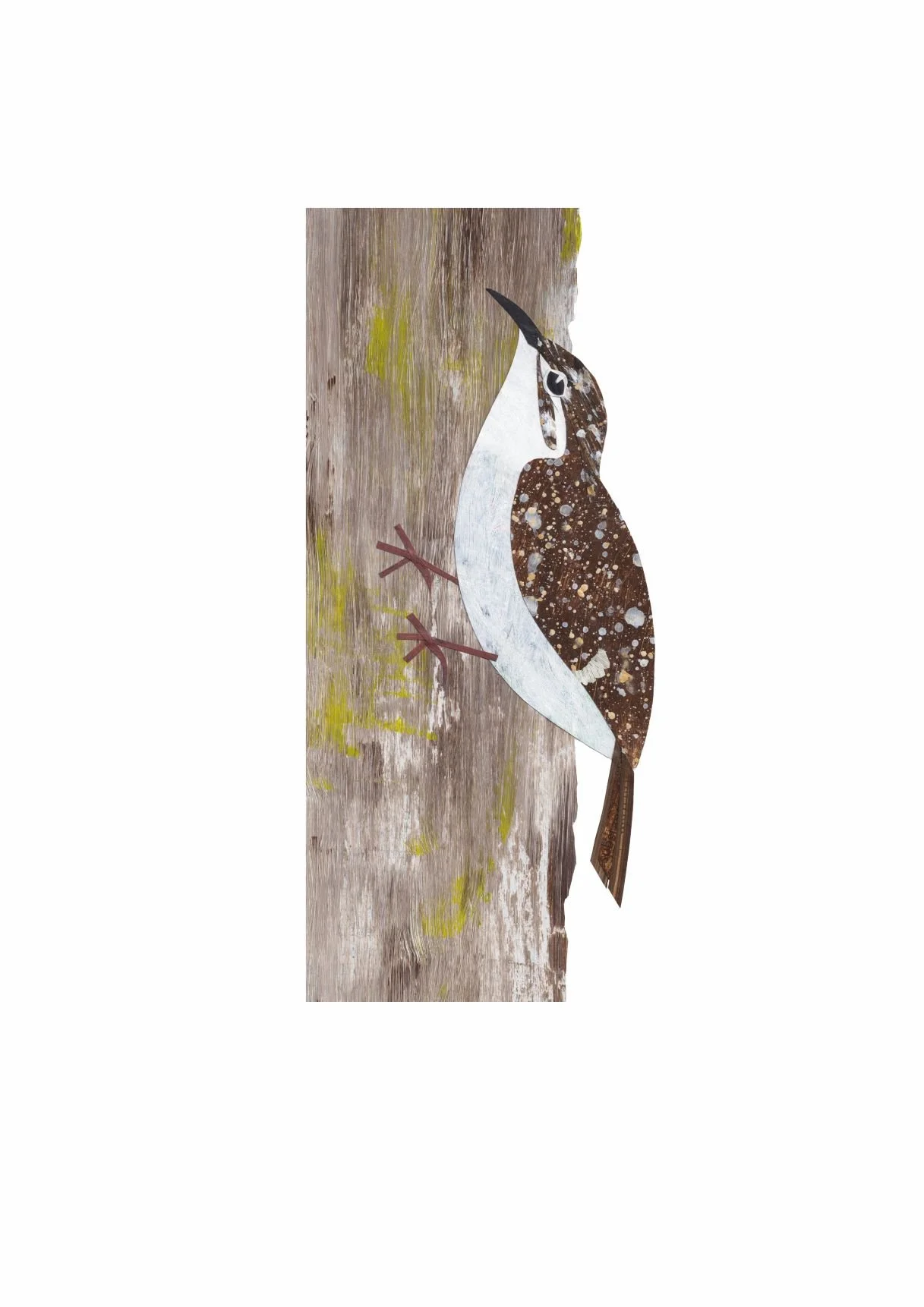 Birdwatch | Treecreepers | The Simple Things