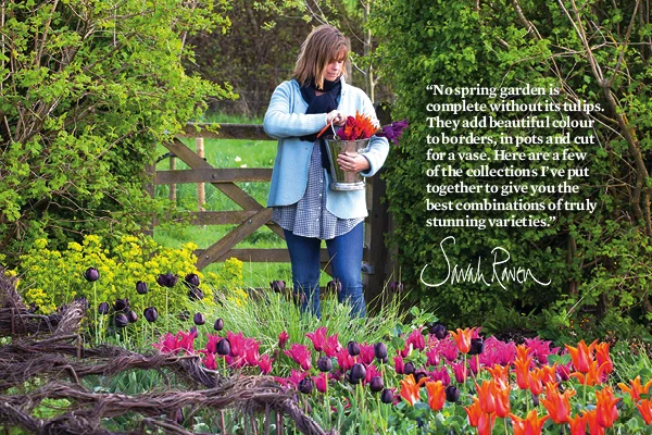 Sarah Raven tulip collections | The Simple Things