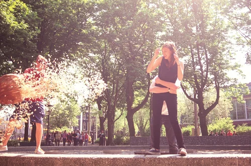 Seasonal blooms: See the Amsterdam spring snow, and more | The Simple ...