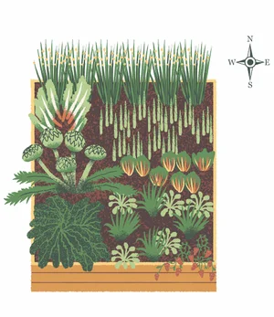 Growing: Edible perennials plan | The Simple Things
