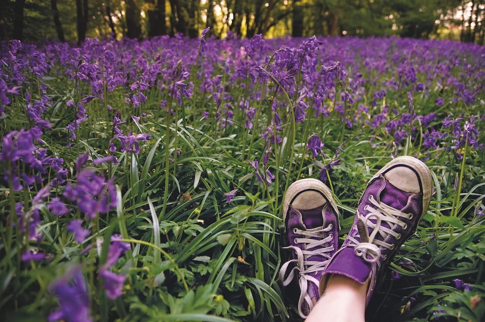 A could-do list for May | The Simple Things