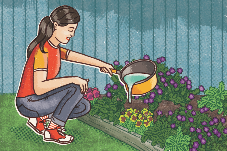 Garden hacks | Reuse cooking water on your plants | The Simple Things