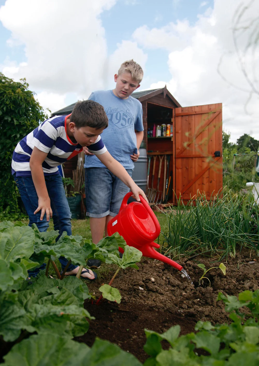 Schools Allotment Week | The Simple Things
