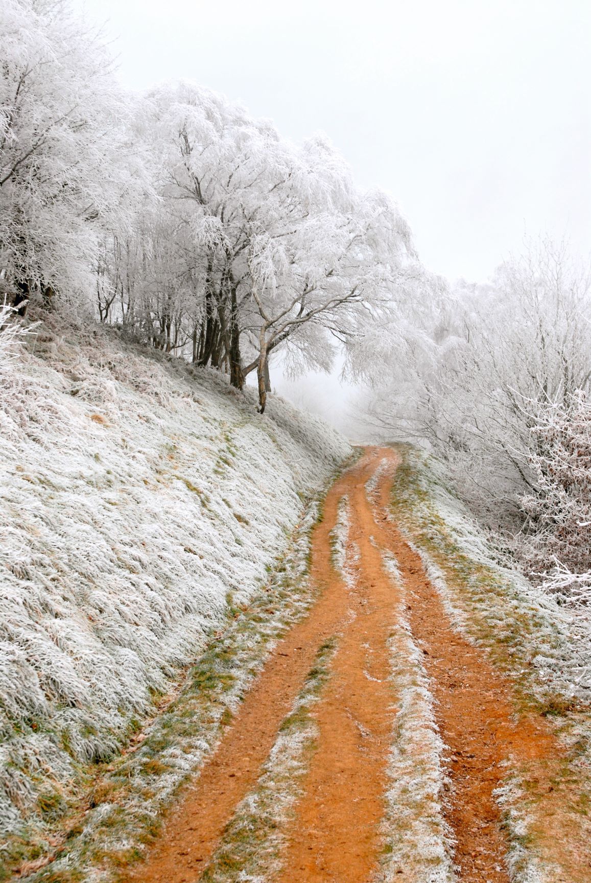 The frost report | The Simple Things