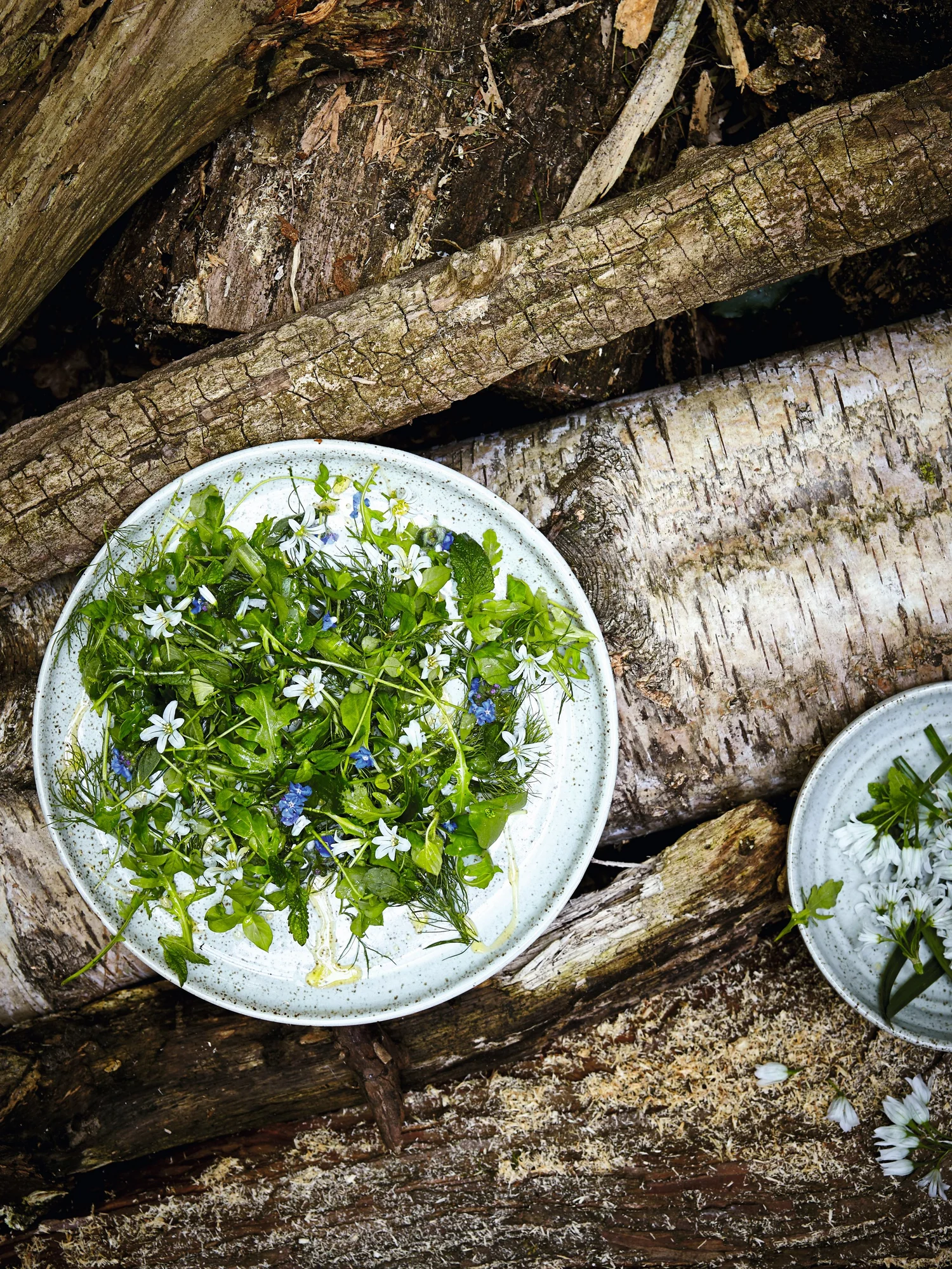 Eat | Wild September Salad | The Simple Things