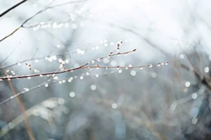 Celebrate | Imbolc | The Simple Things