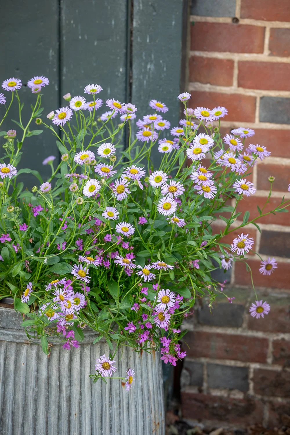 Sponsored post | Contain your Delight | The Simple Things