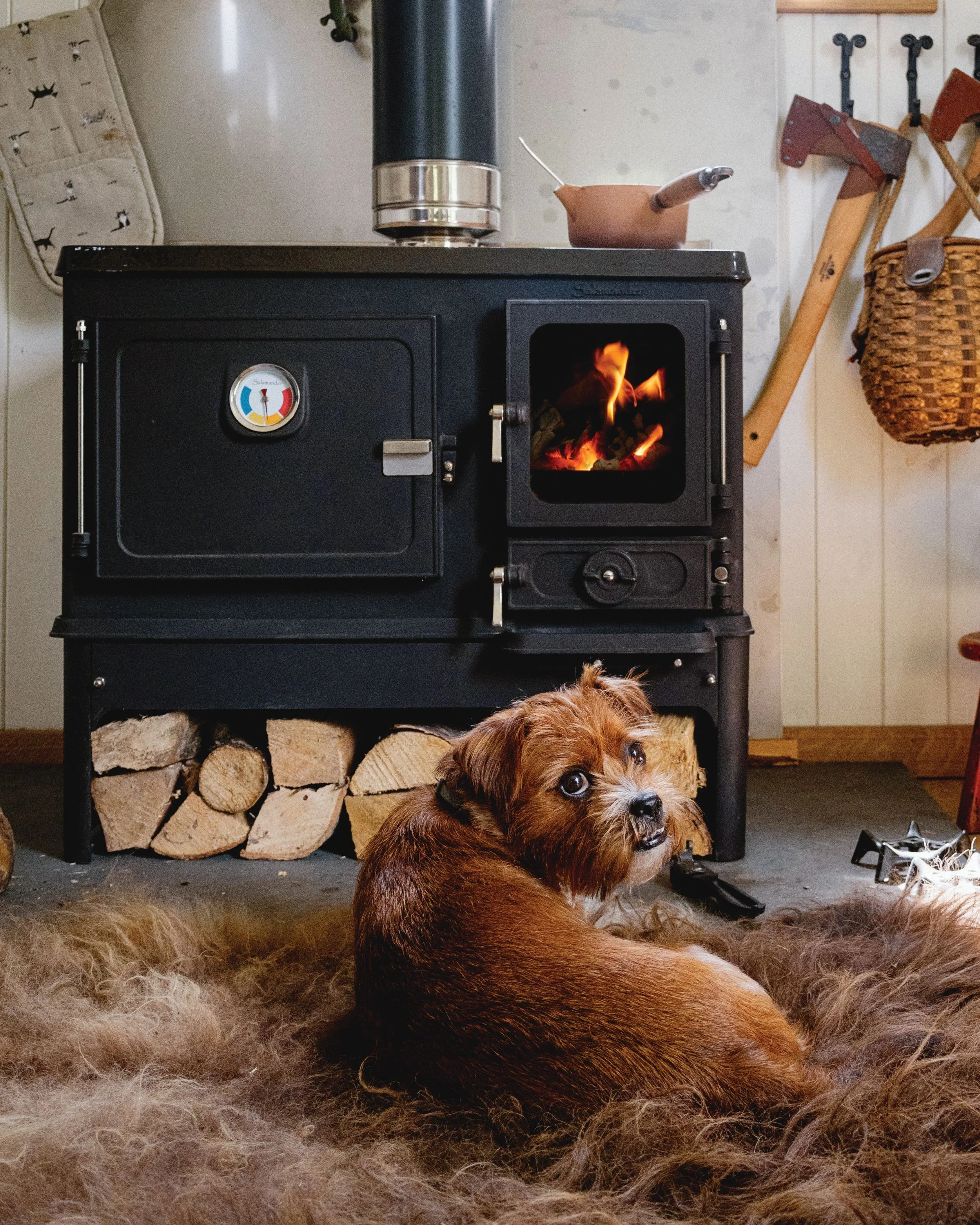 Sponsored post | Enjoy Small Wonders with Salamander Stoves | The ...