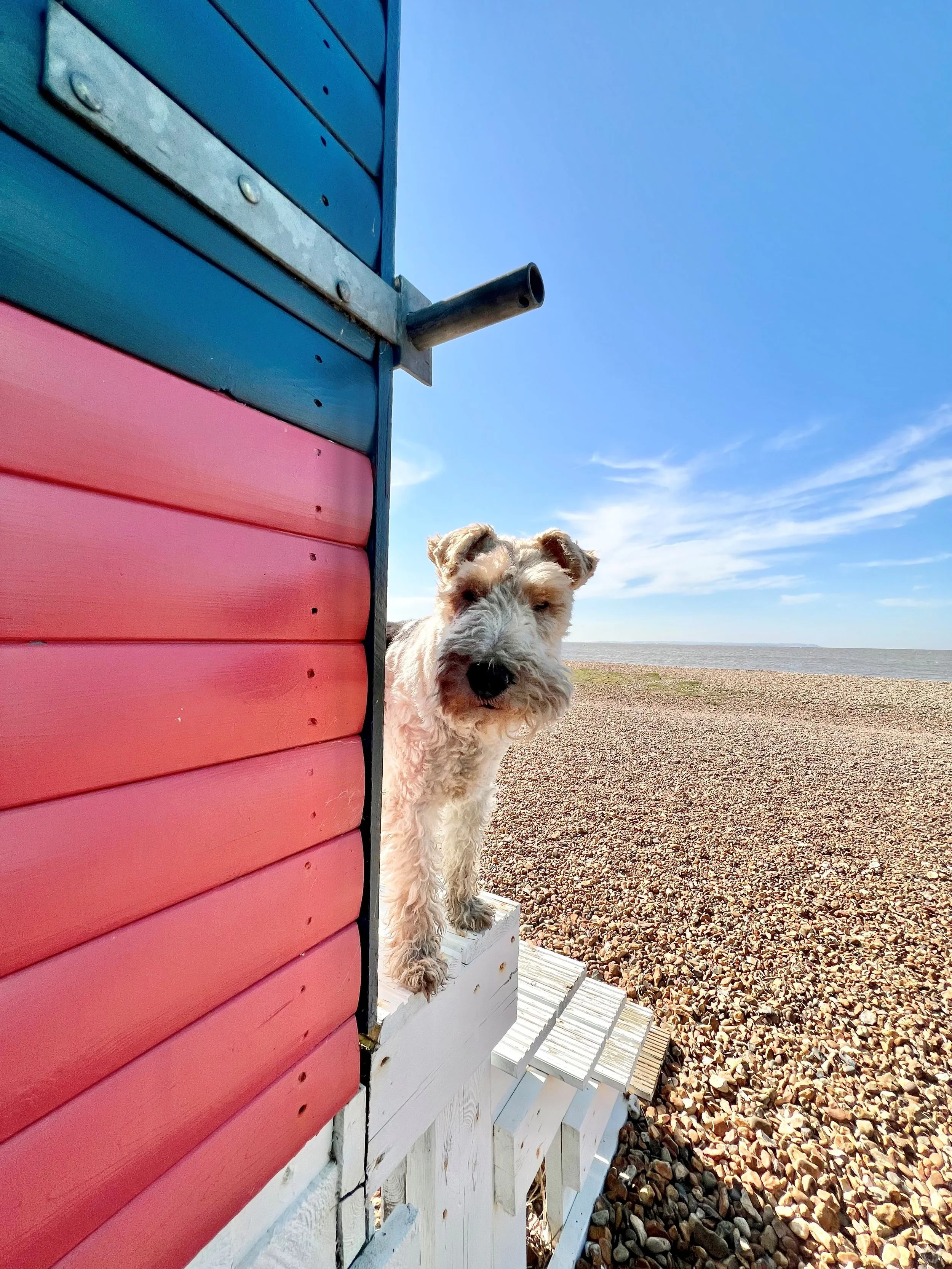 Blog | The Simple Things