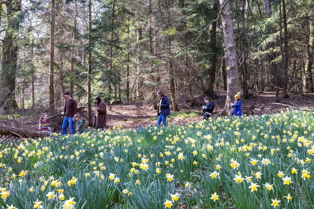 Seasons | Signs of Spring | The Simple Things