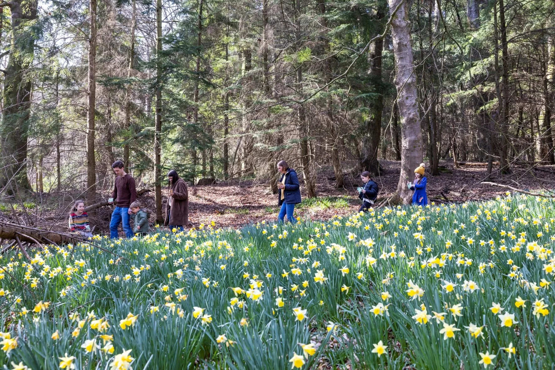 Seasons | Signs of Spring | The Simple Things