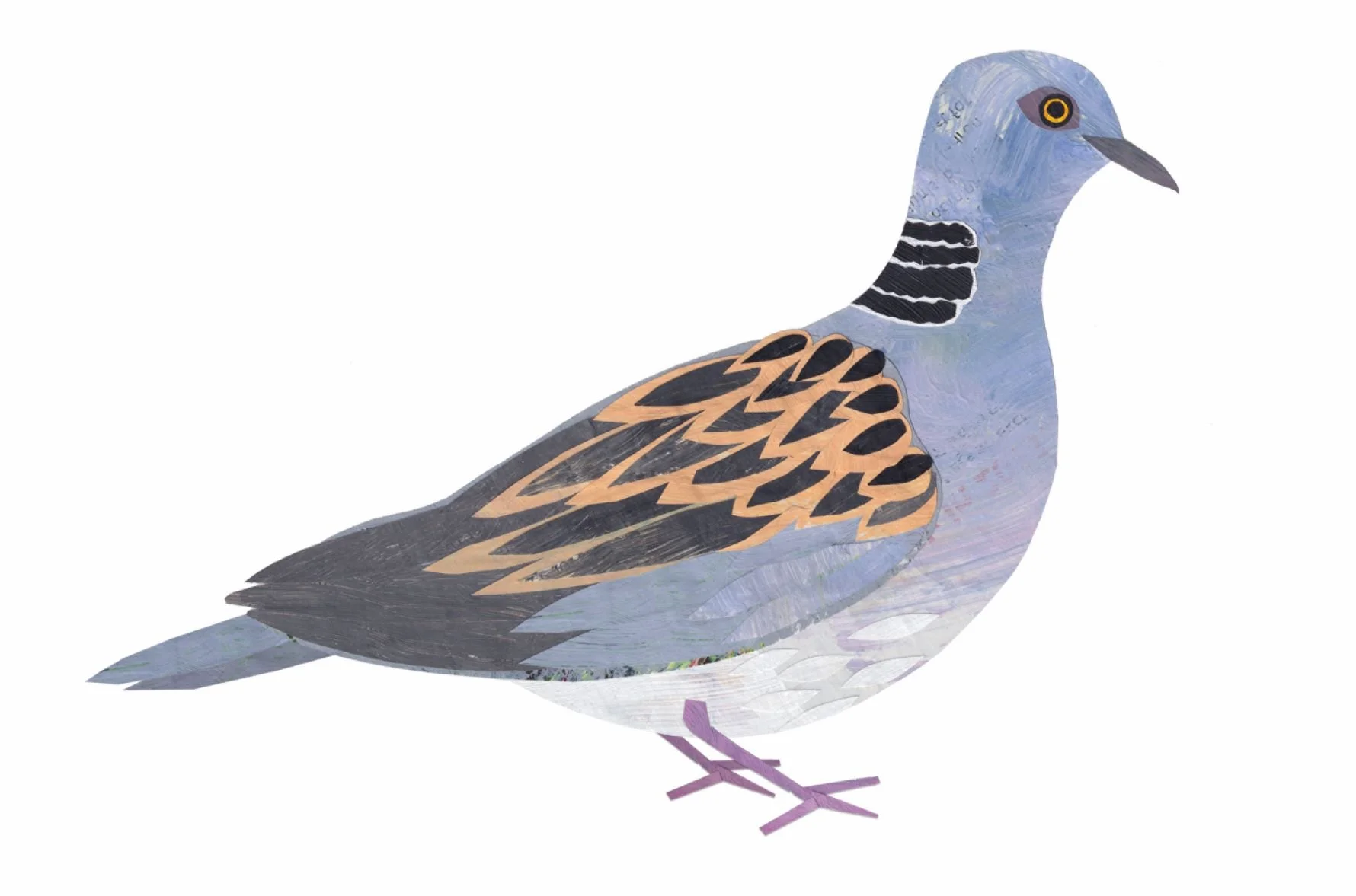 Birdwatch | The Turtle Dove | The Simple Things