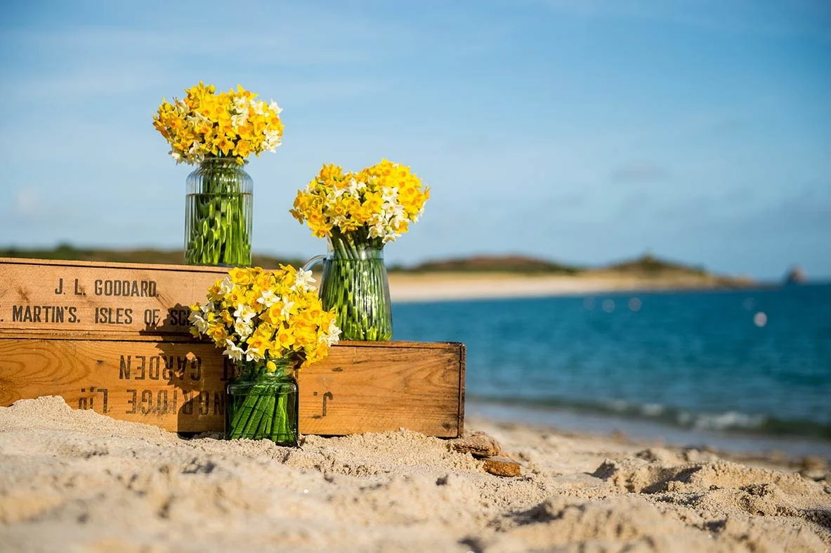 Competition | Win a year's supply of flowers from Scilly | The Simple ...