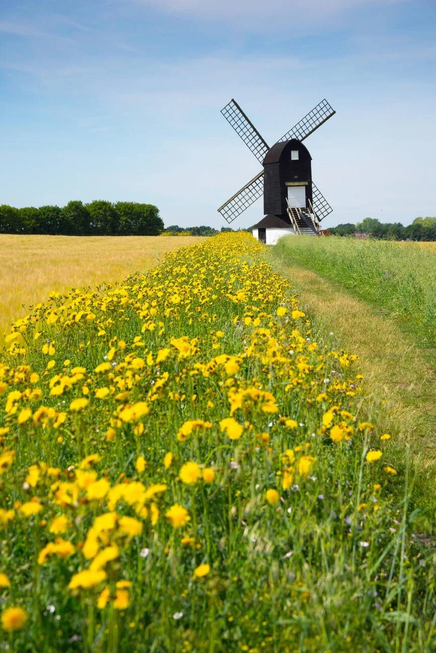 Etymology | Tilting at Windmills | The Simple Things