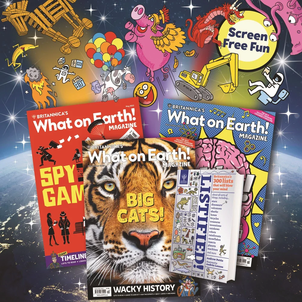 Blog | The Simple Things