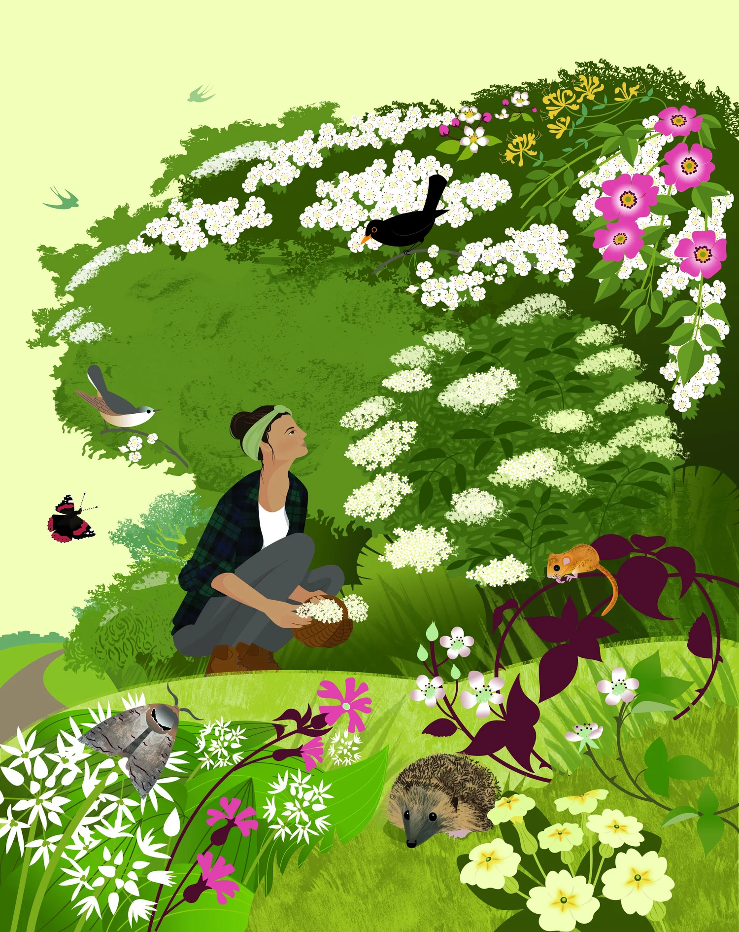Learn | Hedge Witchery | The Simple Things