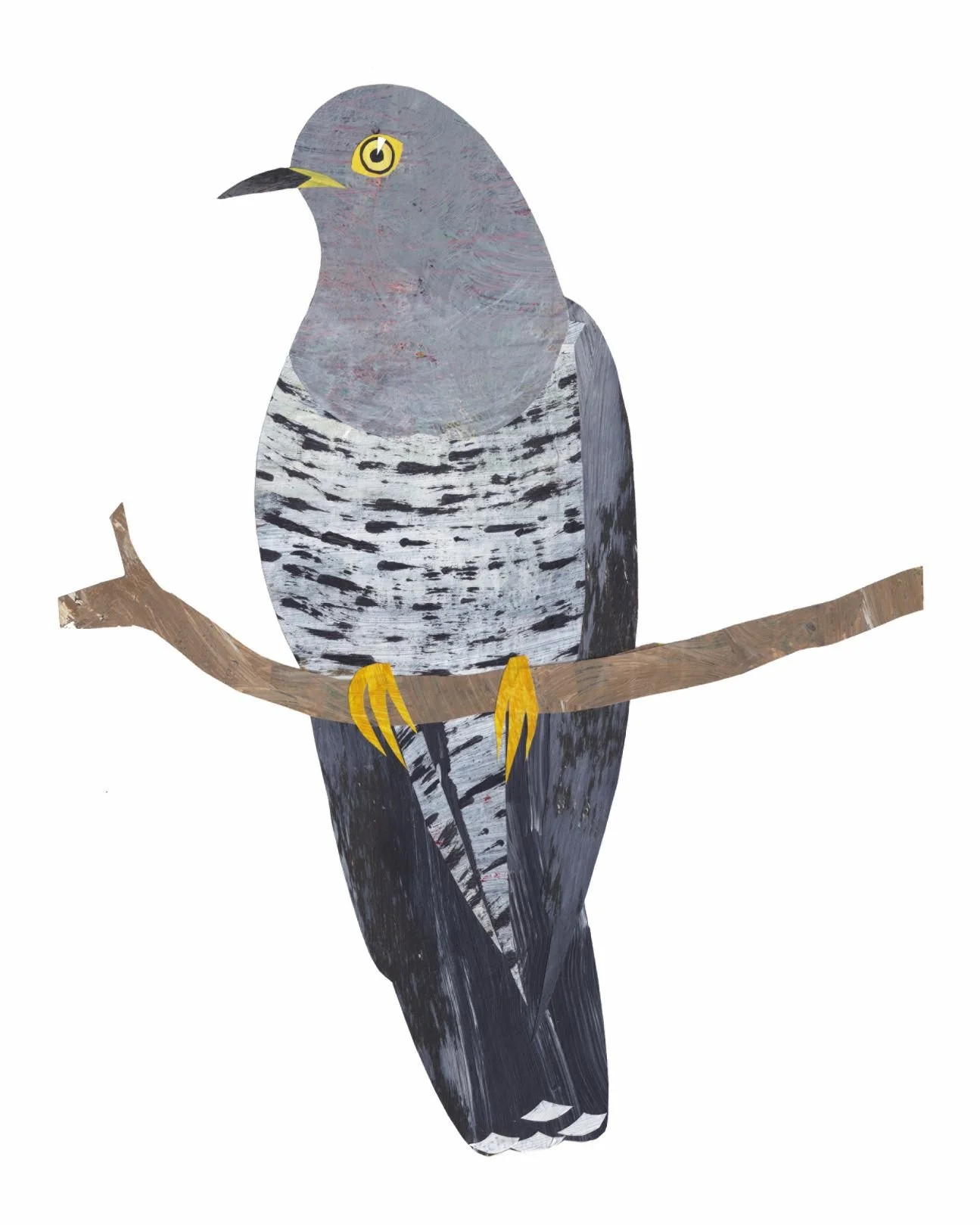 Birdwatch | The Cuckoo | The Simple Things