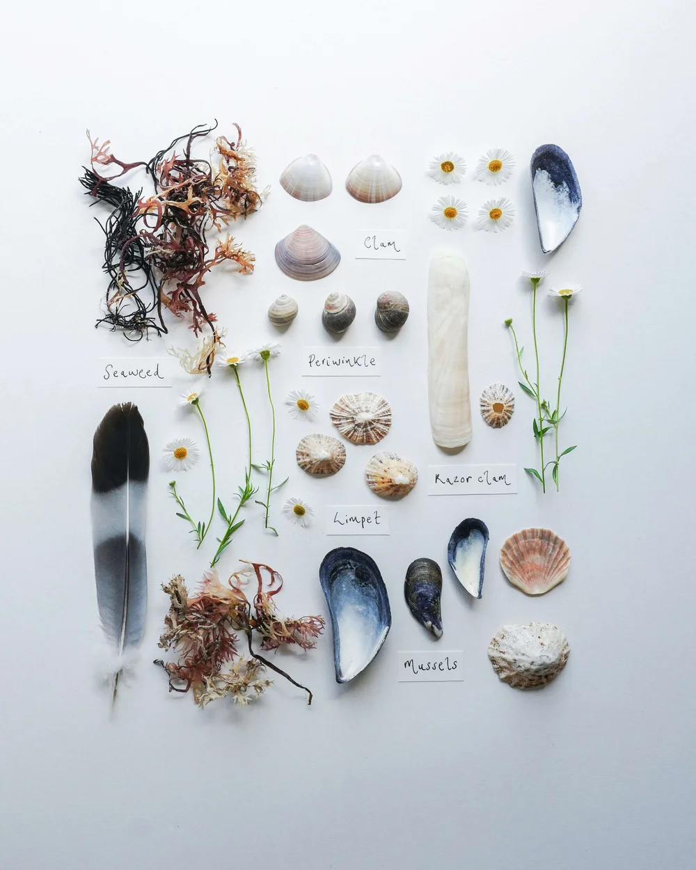August | Things to appreciate | The Simple Things