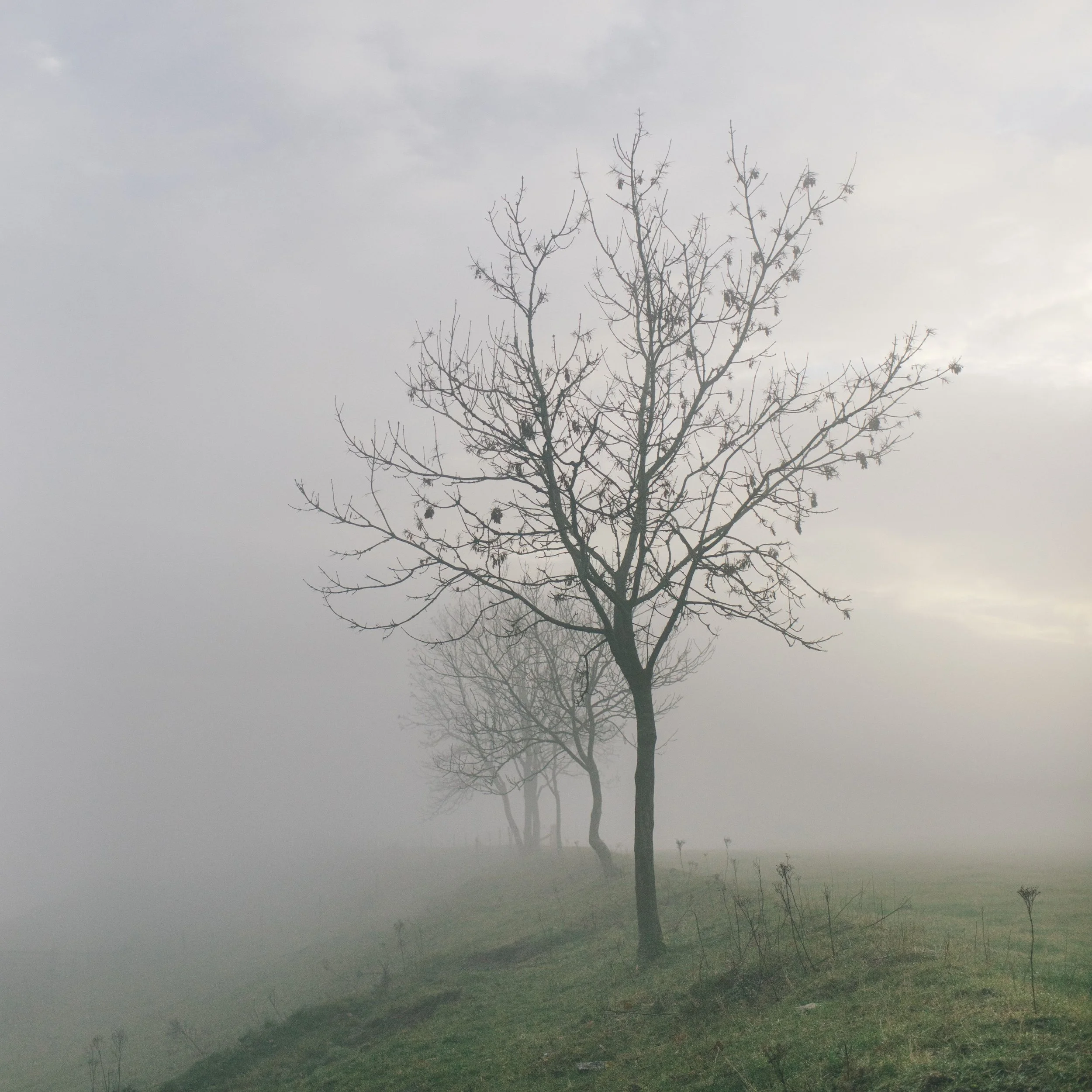 Meteorology | Types of Fog | The Simple Things