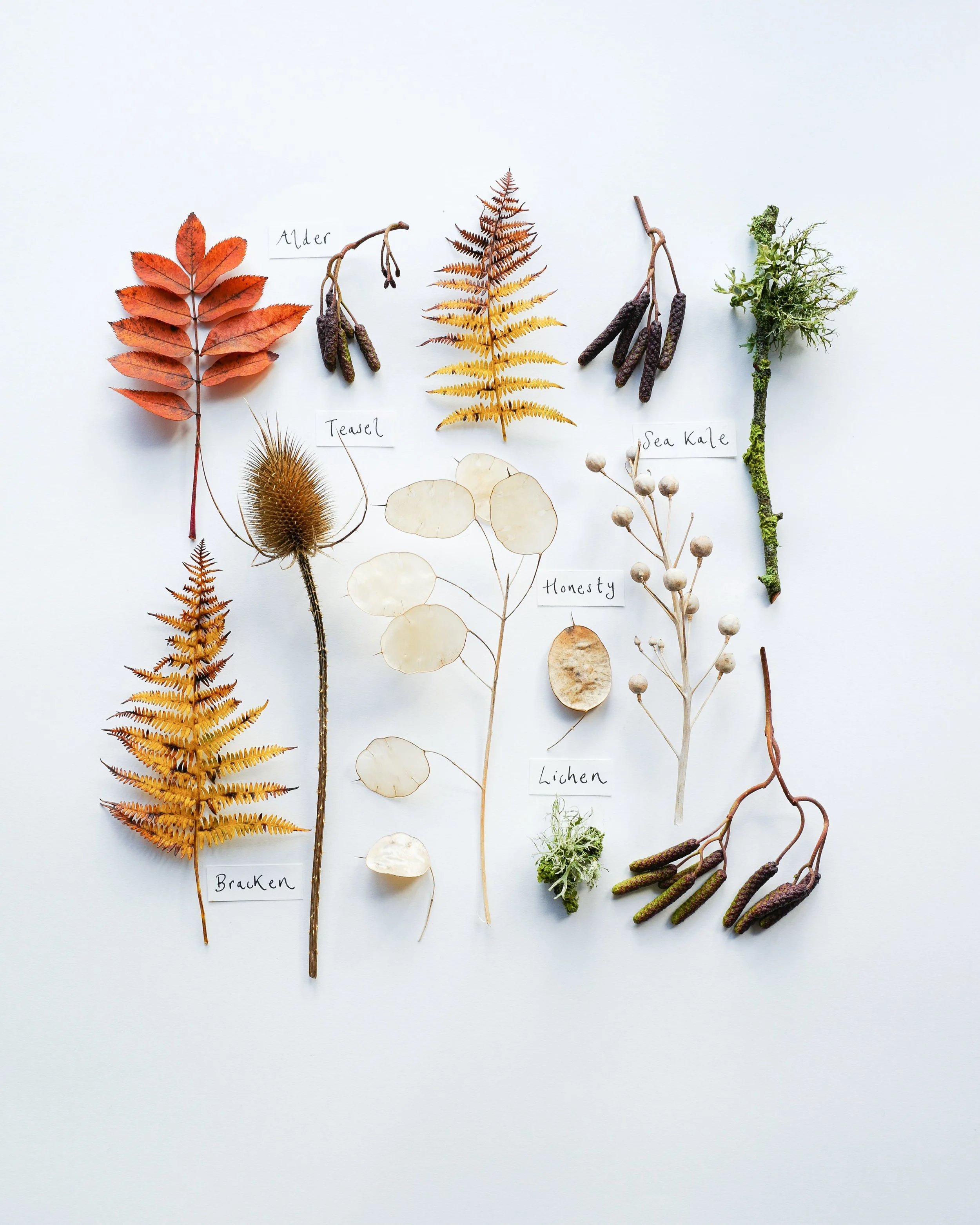 November | Things to Appreciate | The Simple Things