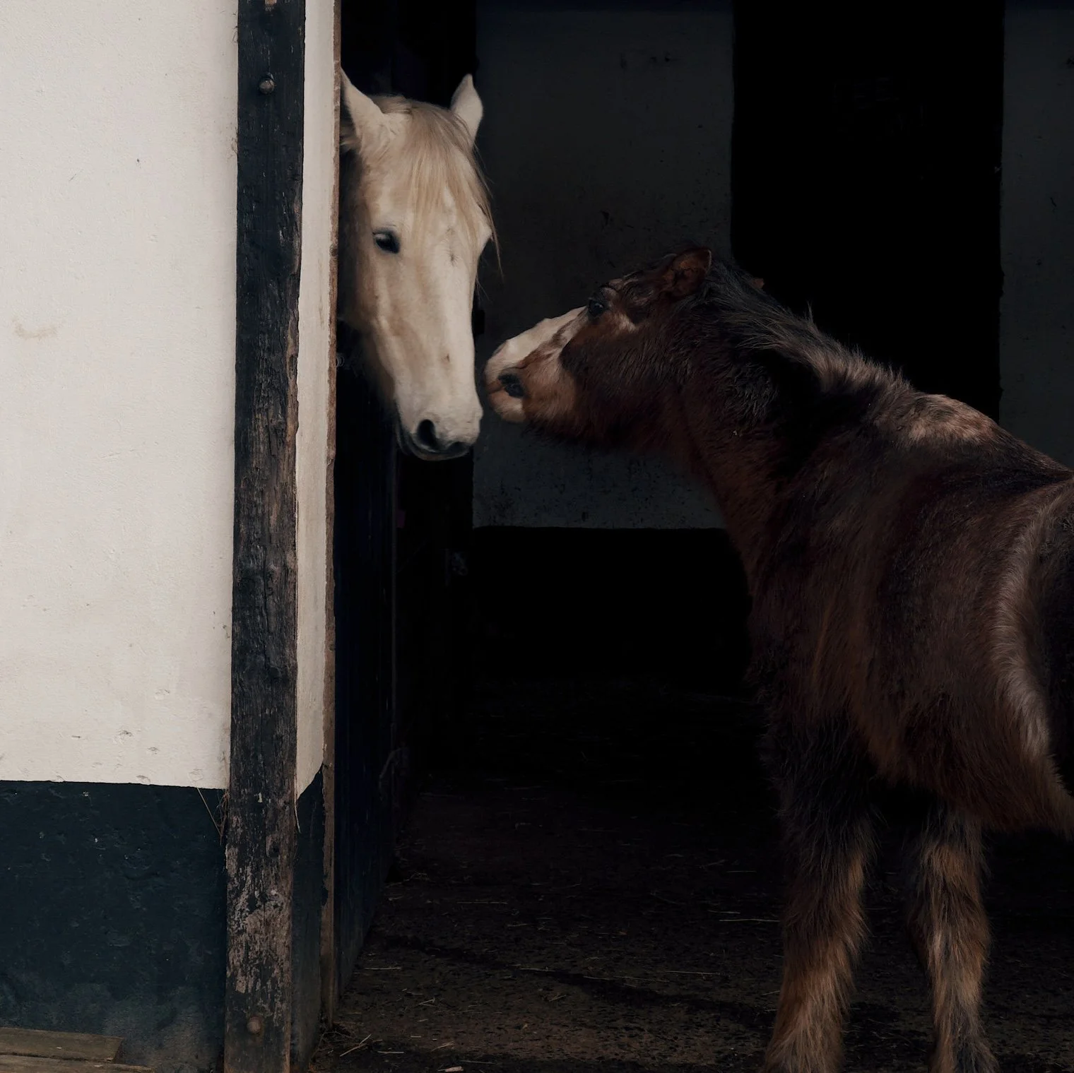 Sponsored Post | Meet the Team at Collacott Farm | The Simple Things