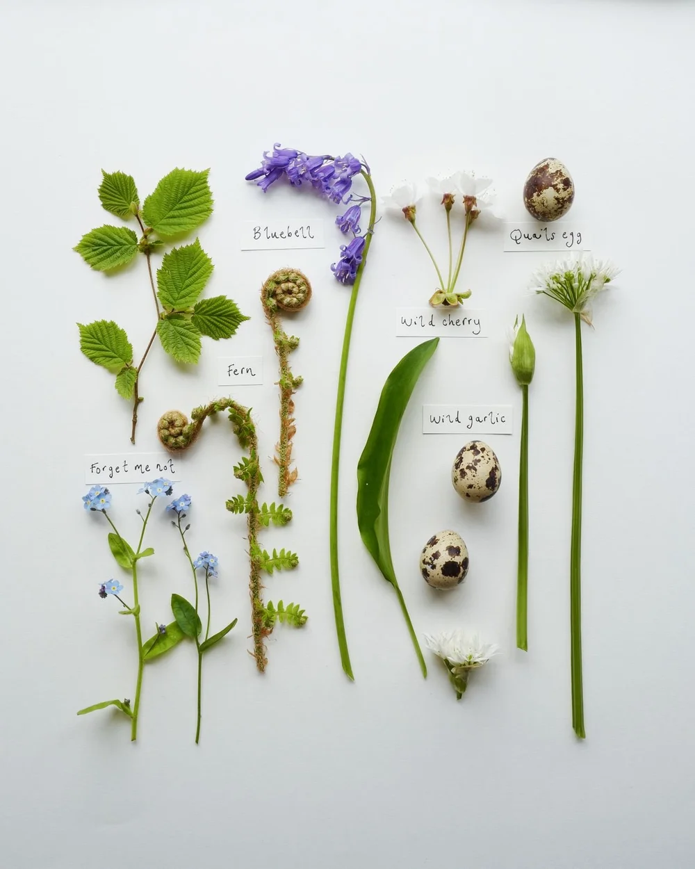 April | Nature Table | The Simple Things