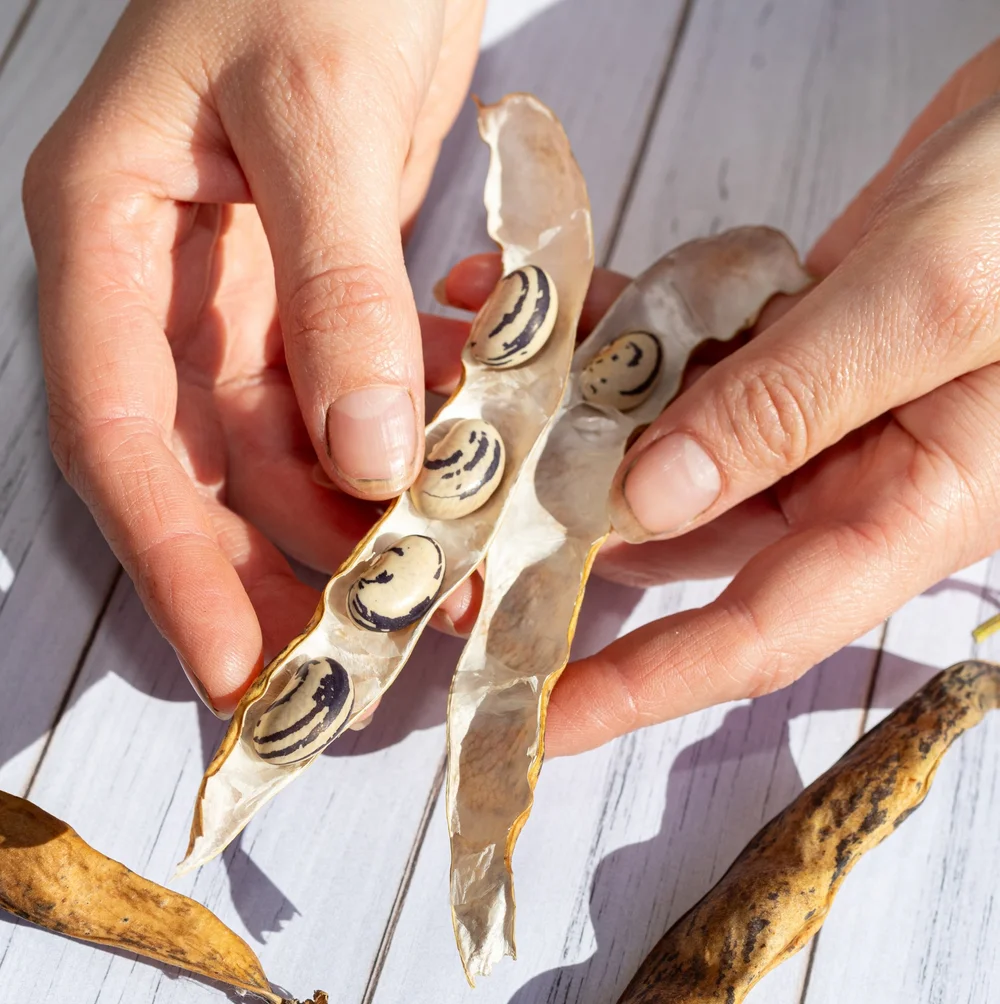 Blog | The Simple Things