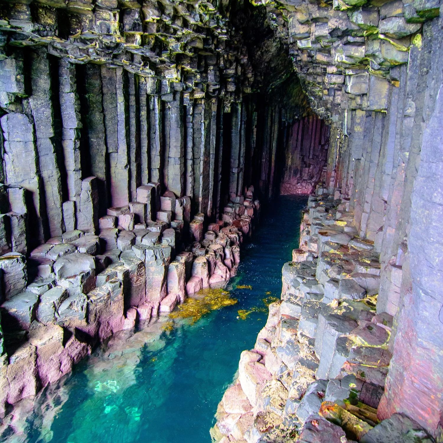 Sponsored post | Basking Shark Scotland | The Simple Things