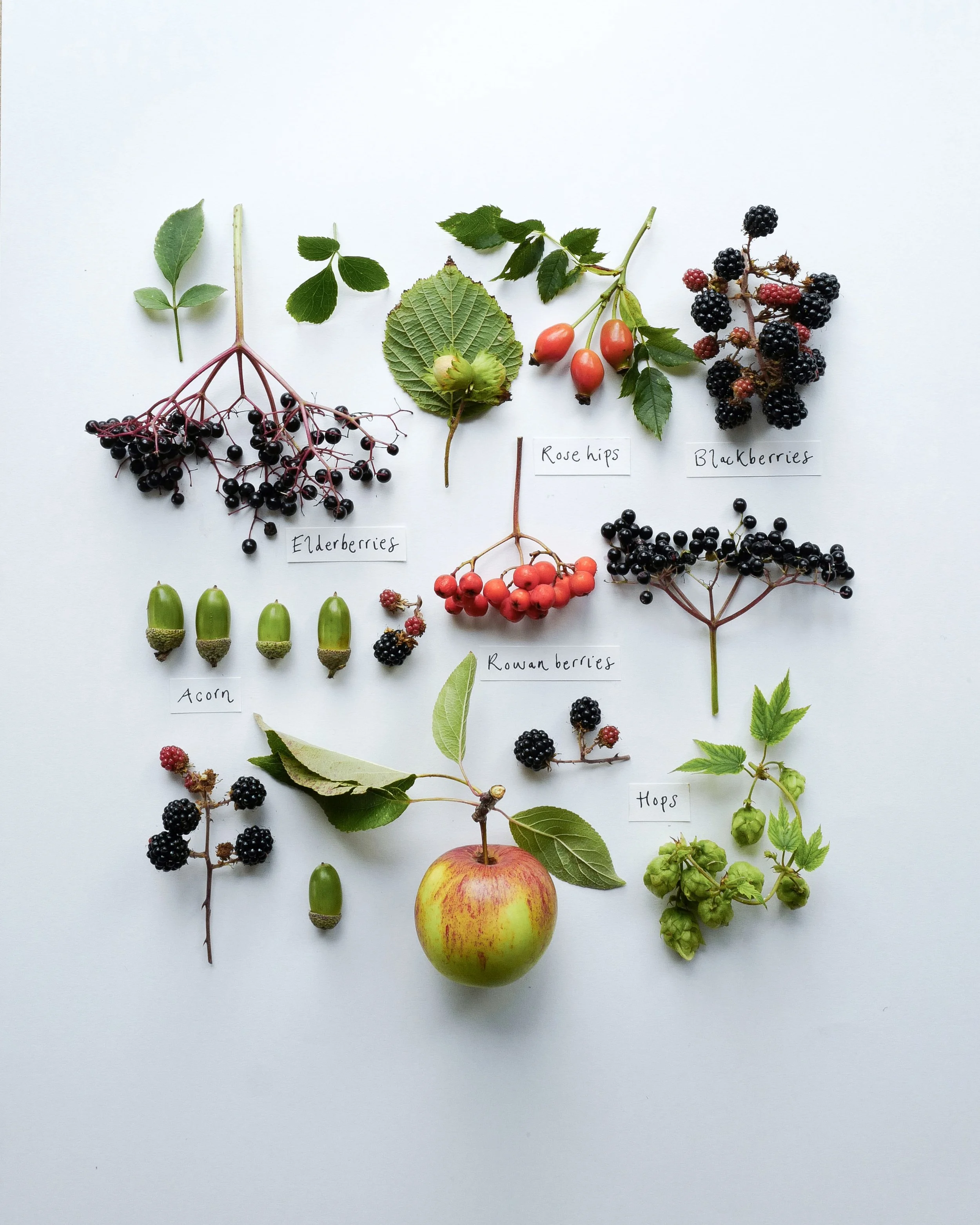 September | Things to Appreciate | The Simple Things