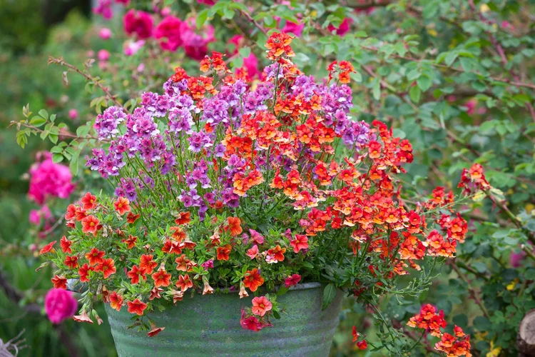 Sponsored post | Contain your Delight | The Simple Things