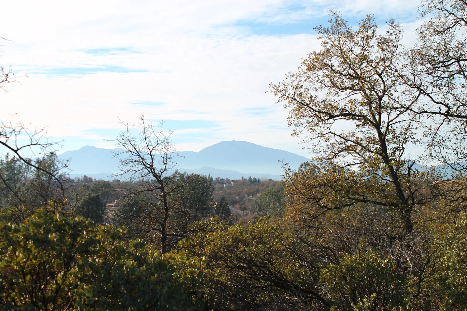 Lillian Nelson Nature Preserve — Shasta Land trust