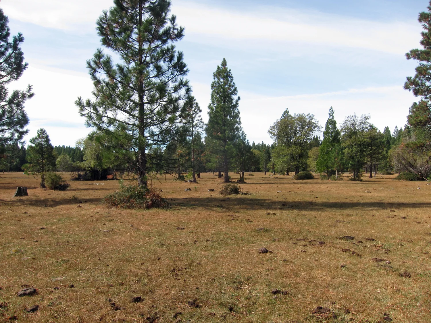 Hootman Ranch — Shasta Land trust