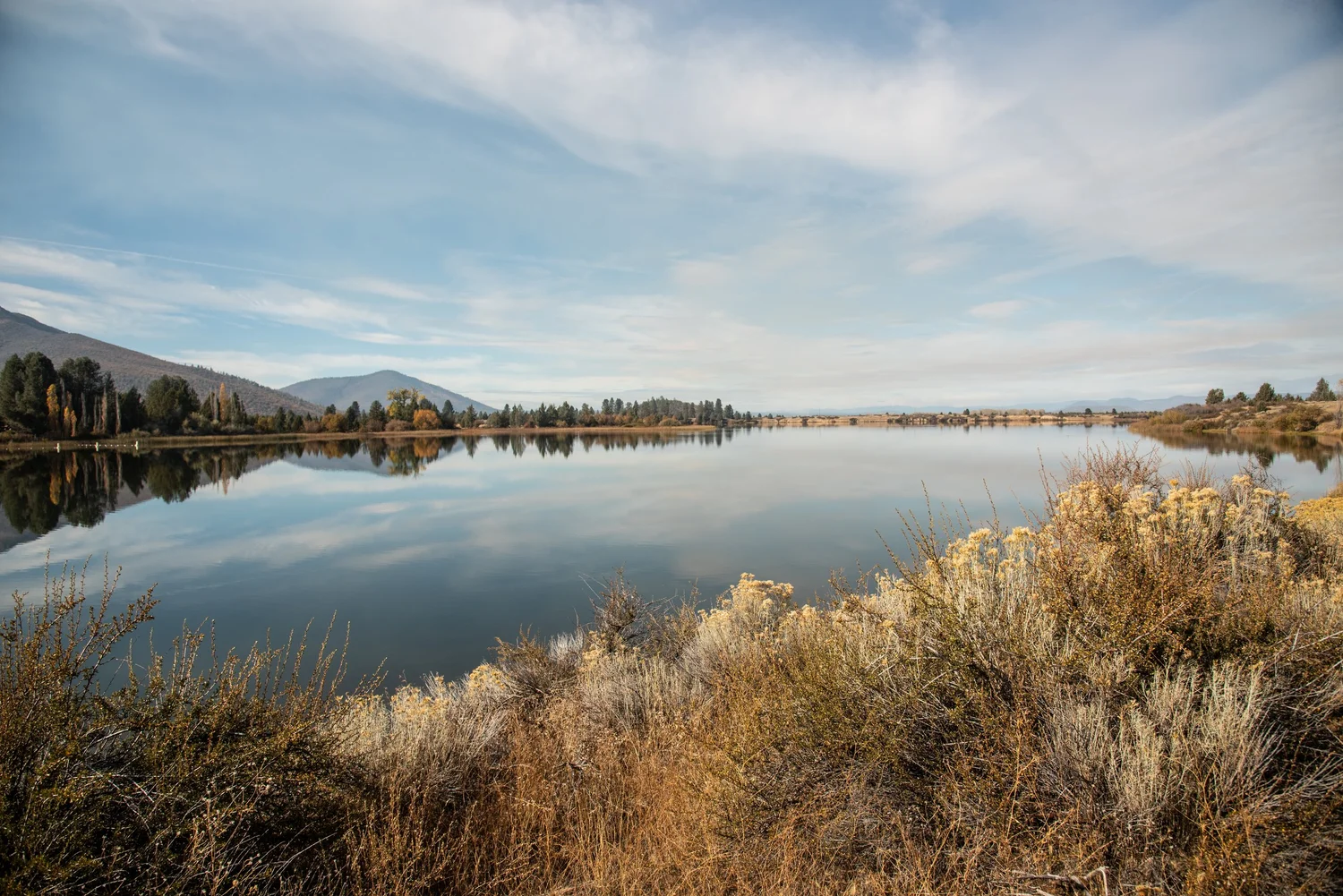 2,446 Acres Protected in the Fall River & Pit River Region — Shasta ...