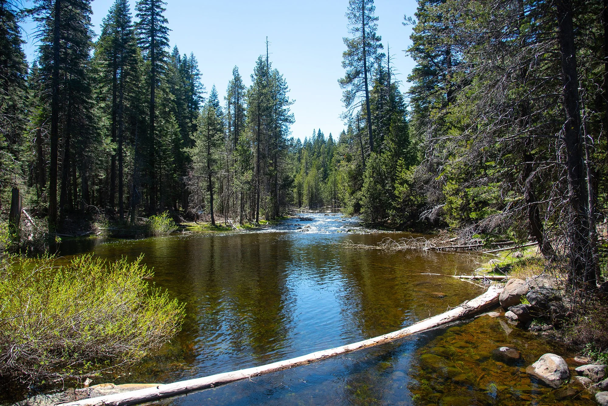Burney Gardens Protected Forever & Returned to the Pit River Tribe ...