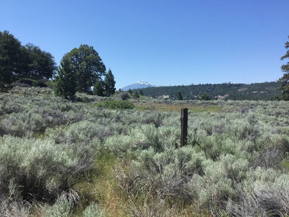 Hat Creek - Pit River Tribe — Shasta Land trust