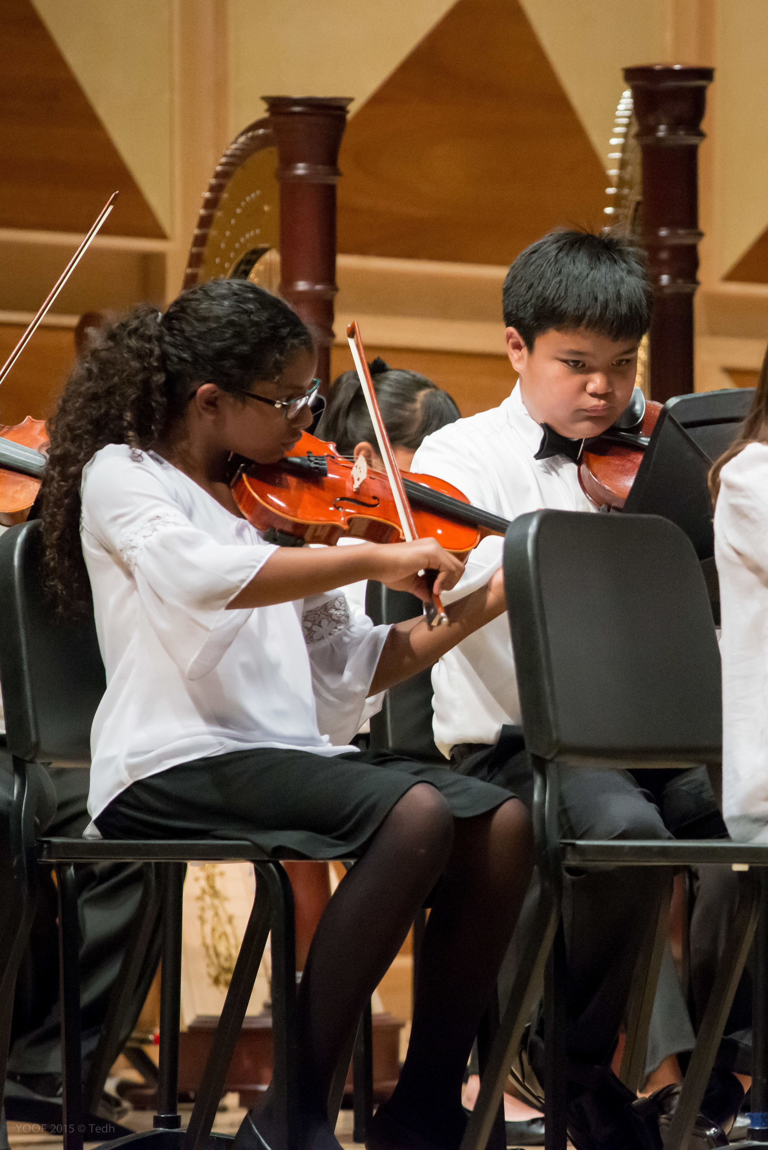 Elementary School Orchestra